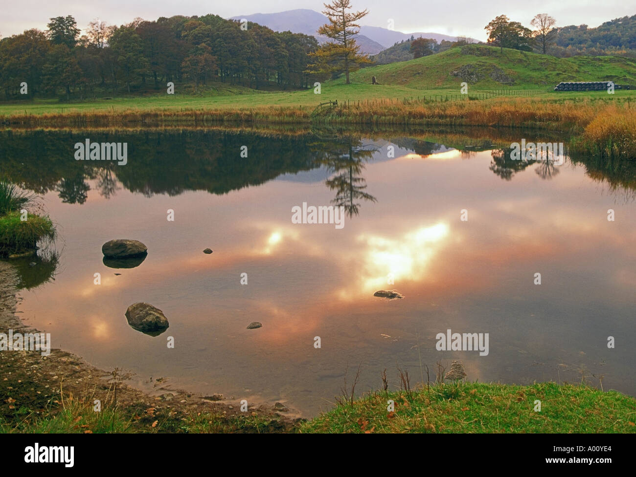 england cumbria lake district national park elterwater Stock Photo - Alamy