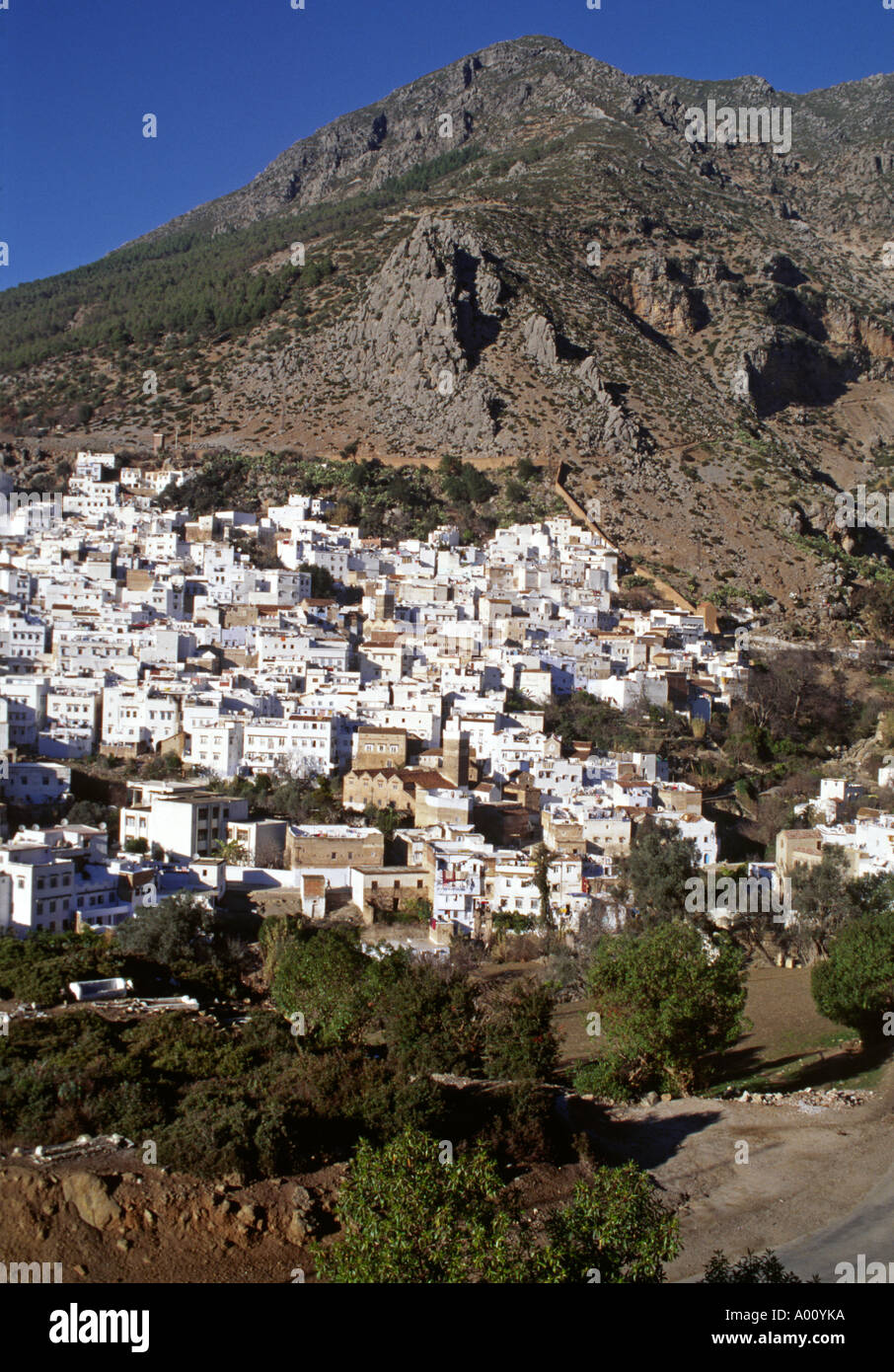 The beautiful white washed town of CHECHAOUEN is located in the RIF ...