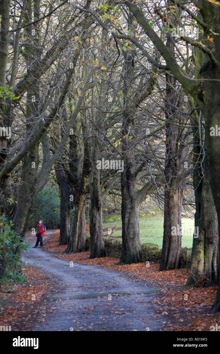 Lane in country hi-res stock photography and images - Alamy