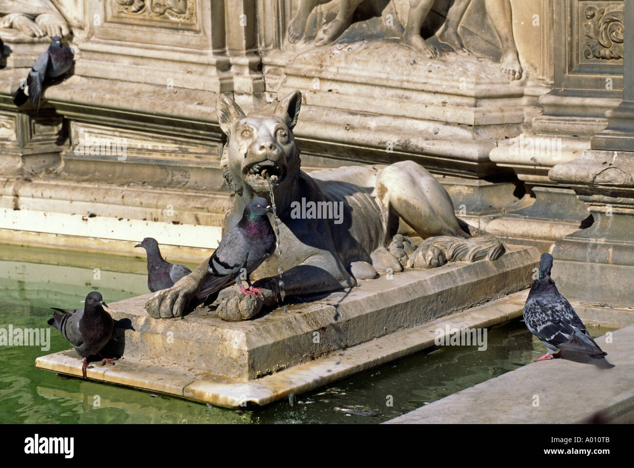 Marble statue of wolf decorates the fountain in the CAMPO central plaza ...