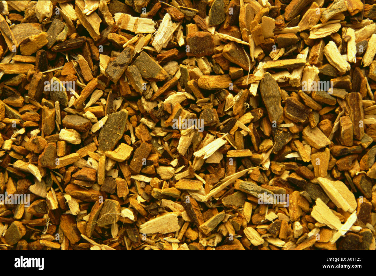 Angustura Angostora Galipea officinalis Cusfaria fobrifuga spice and ...