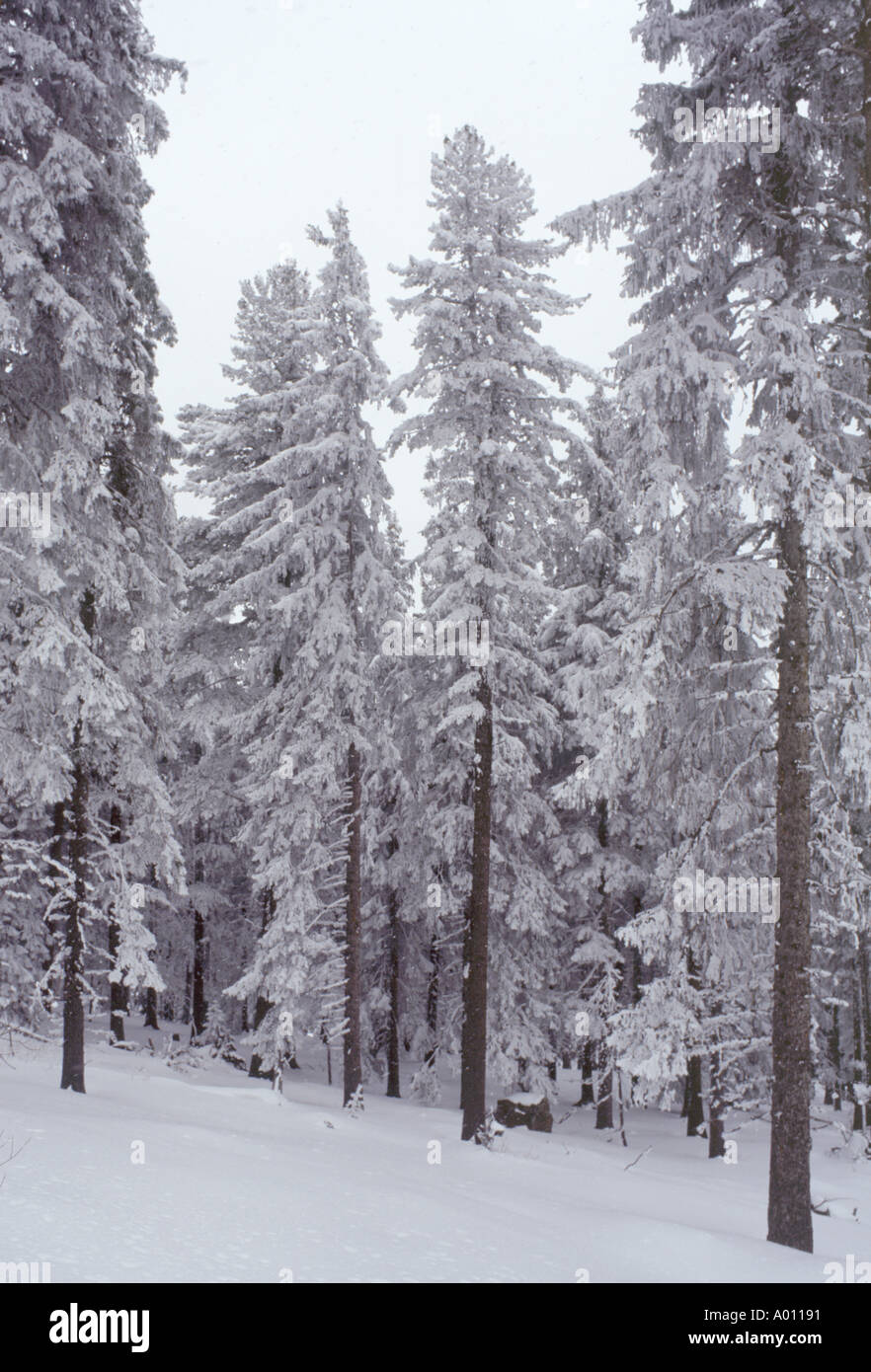 Benumbed hi-res stock photography and images - Alamy