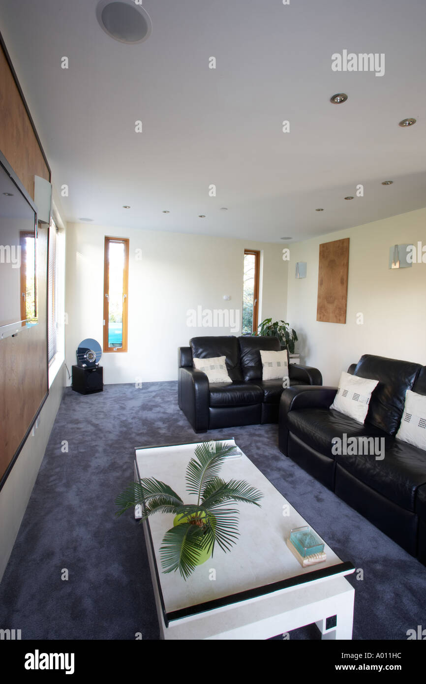 luxury lounge of modern house with large plasma screen television on ...