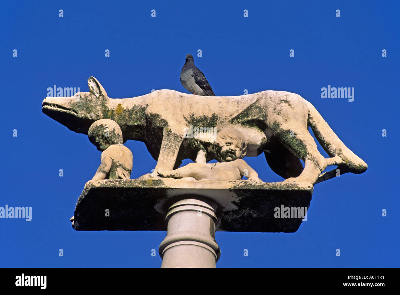 Stone carving on ROMULUS REMUS with wolf mother stand on a pillar in ...
