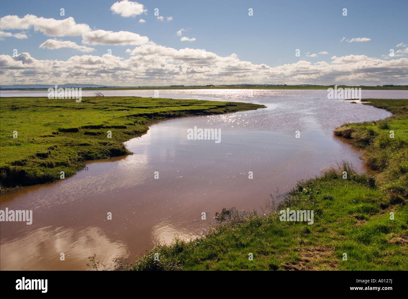 Freckleton hi-res stock photography and images - Alamy