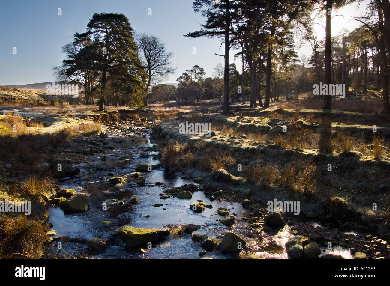 Wyre forest light hi-res stock photography and images - Alamy