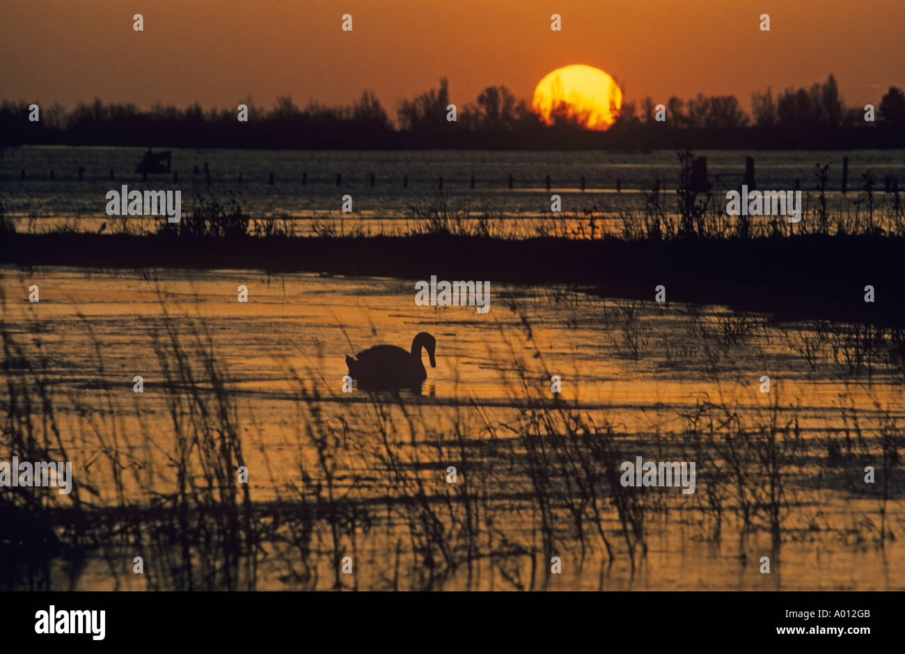 Flood fens hi-res stock photography and images - Alamy