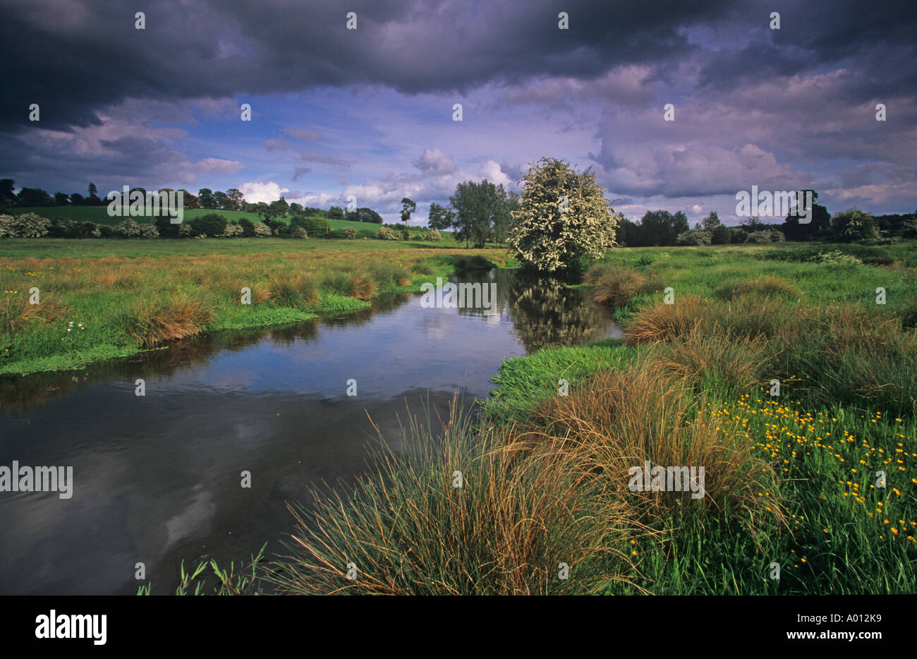 Gaddesden hi-res stock photography and images - Alamy