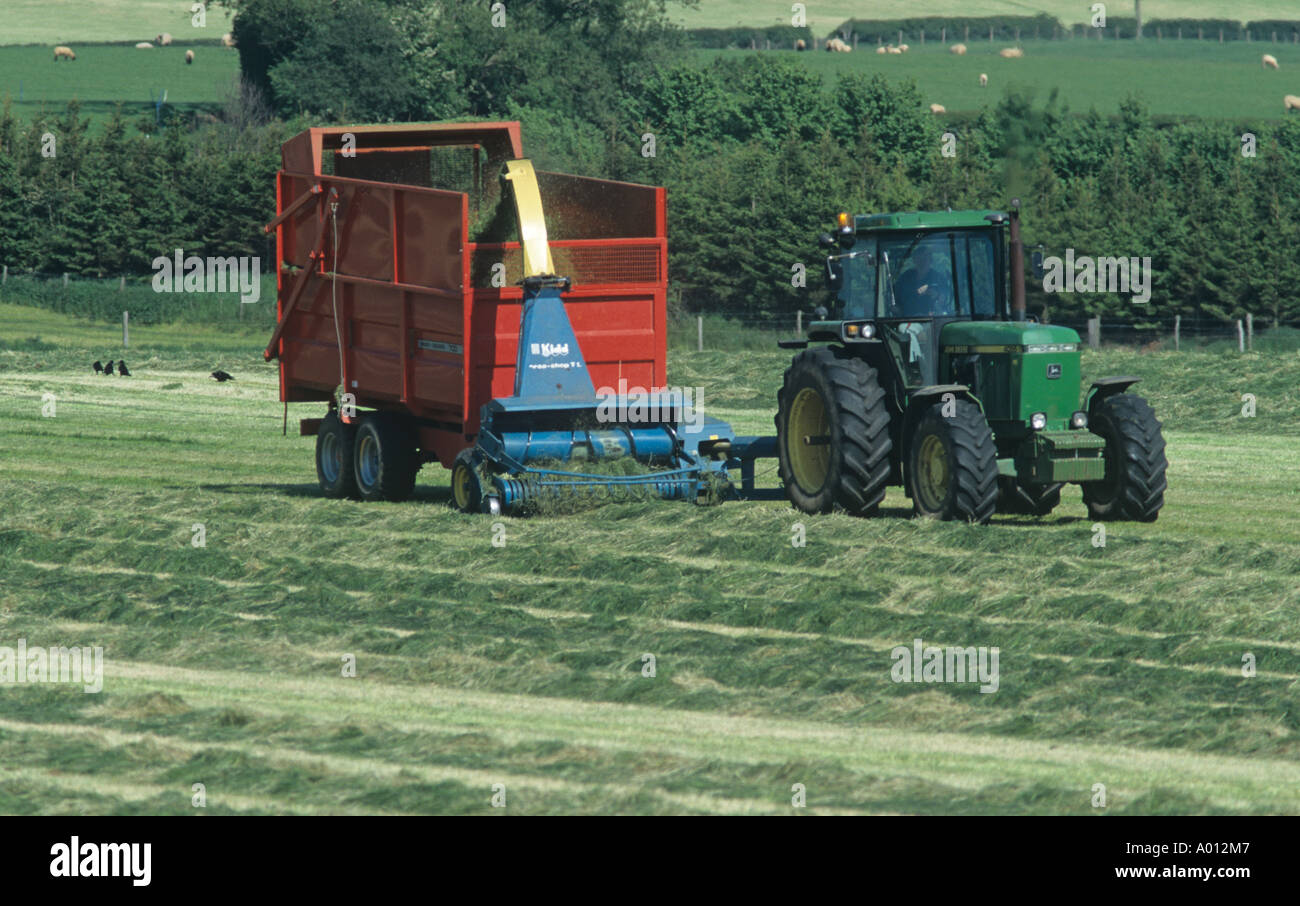 Silage making plants hi-res stock photography and images - Alamy