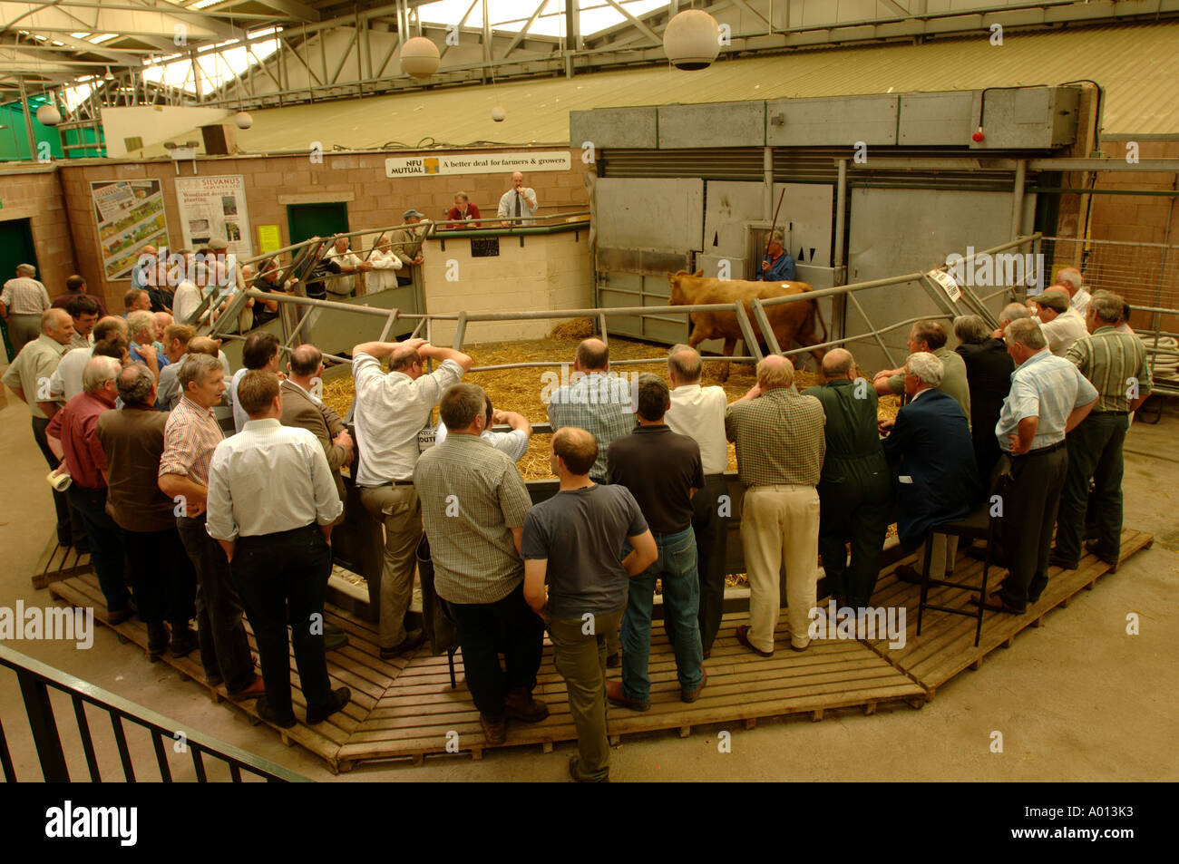 Exeter cattle market Stock Photo - Alamy