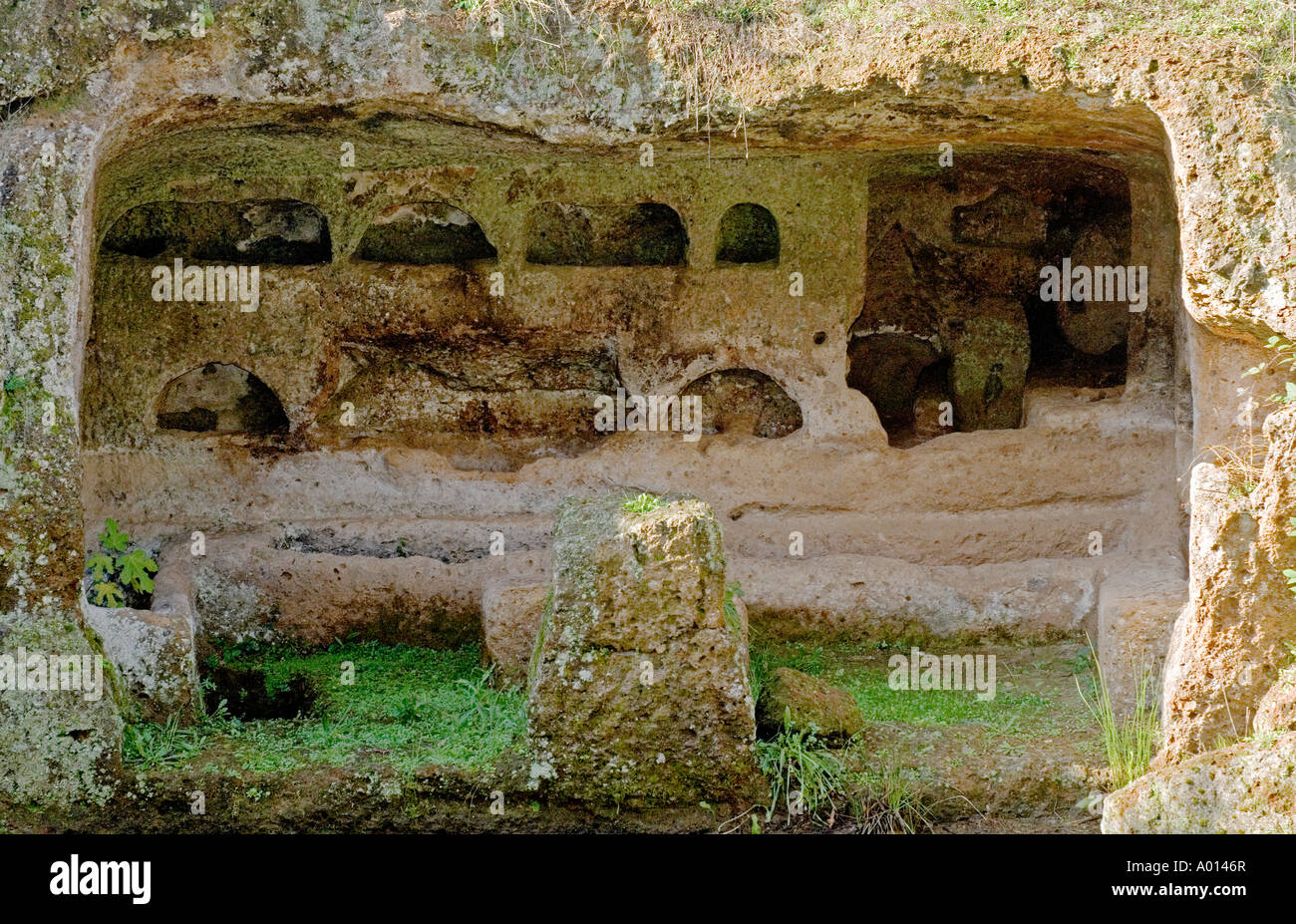 Colombarium in the etruscan necropolis of Falerii Novi (IV - III ...