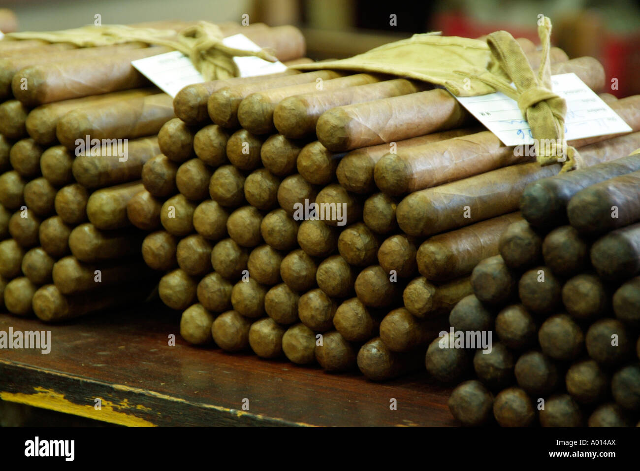 Large cigars ready for sale. Little Havana Miami Florida USA Stock ...