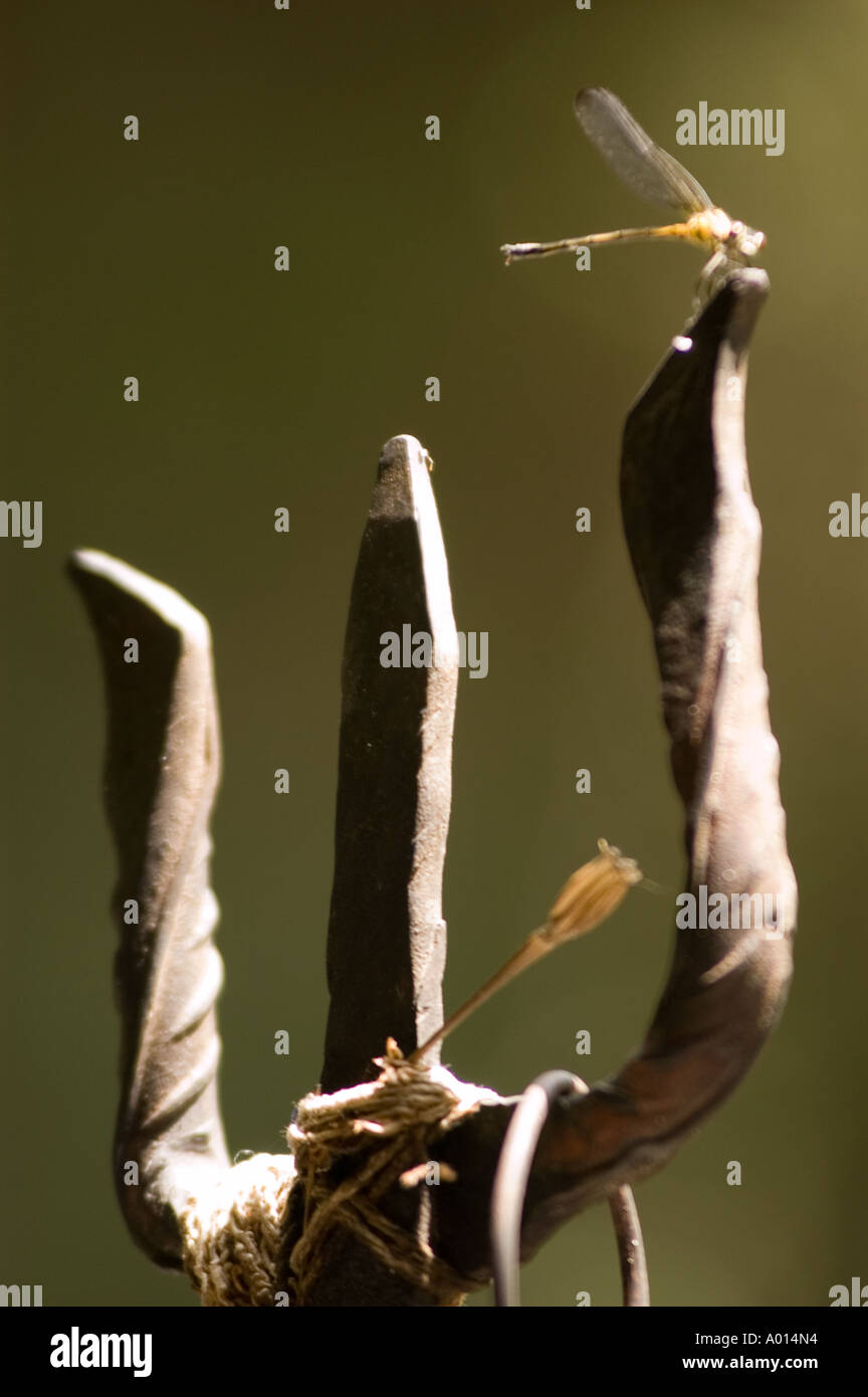 Metal trishul trident symbol hi-res stock photography and images - Alamy