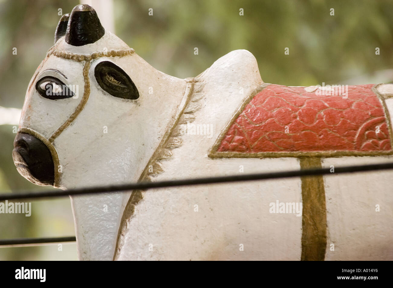 Close up of white Lord Shiva bull Nandi Dharamsala India Stock Photo ...