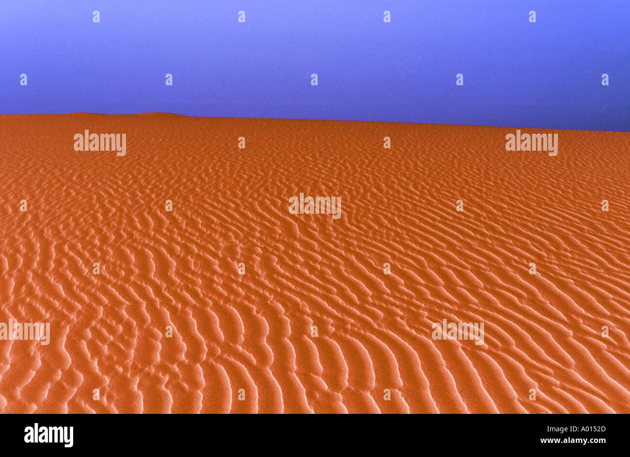 desert structure Namibia desert Stock Photo - Alamy