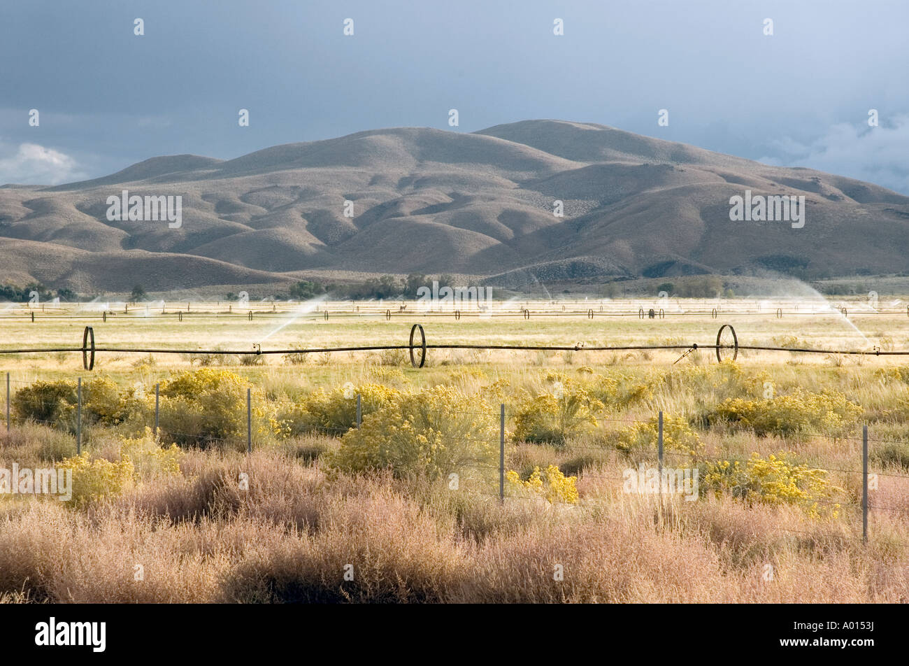 storm and irrigation in the Sierras Stock Photo - Alamy