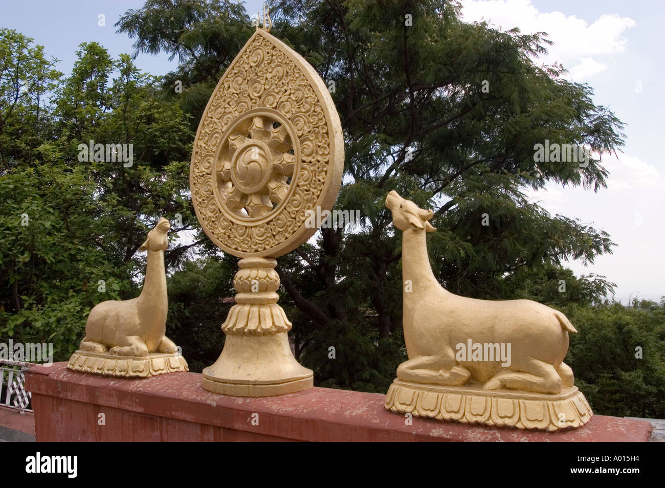 Golden Wheel of Dharma and Deers symbolising first Buddha sermon in ...