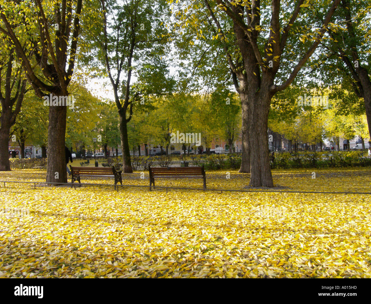 Karlaplan hi-res stock photography and images - Alamy