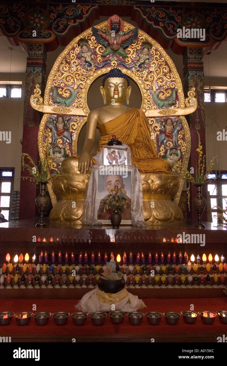 Buddha statue in Ladakh Vihar buddhist monastery Tibetan Colony New ...