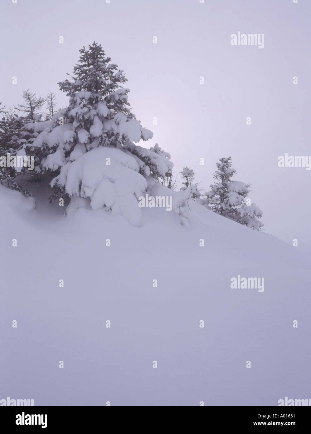 Benumbed hi-res stock photography and images - Alamy