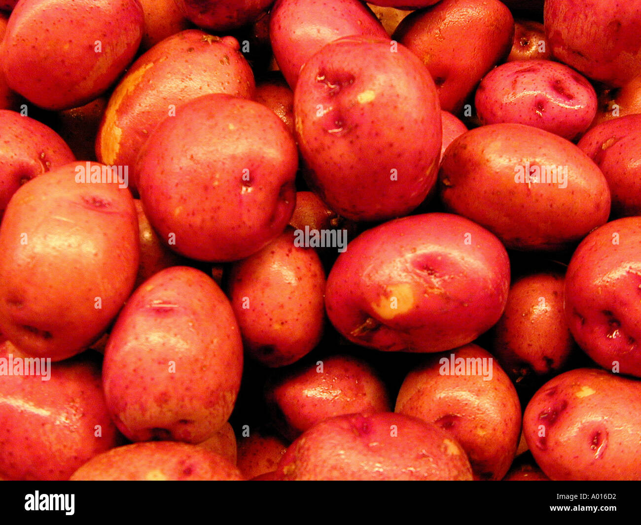 Red potatoes in a produce display in a market Digital photo by Doug ...