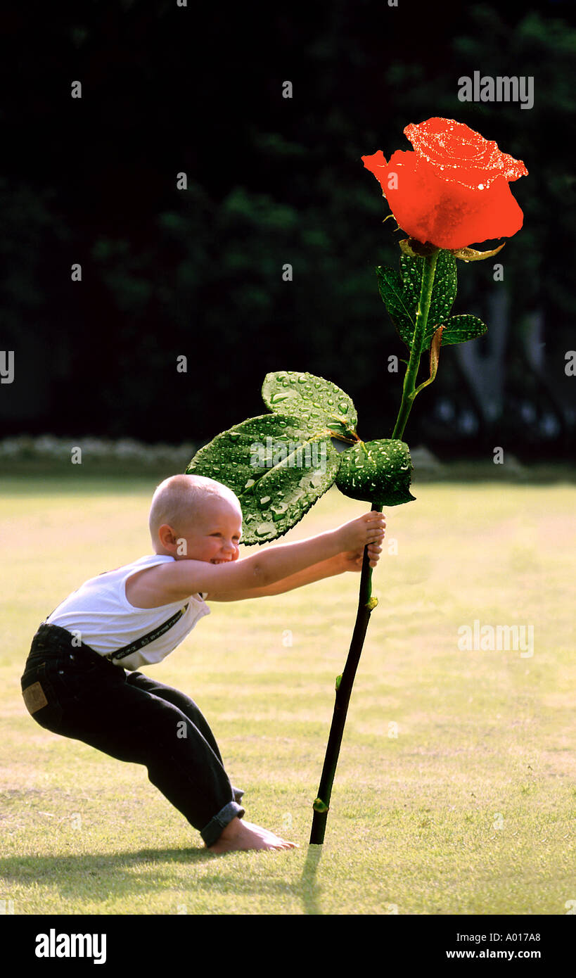 extra large rose and boy Stock Photo - Alamy