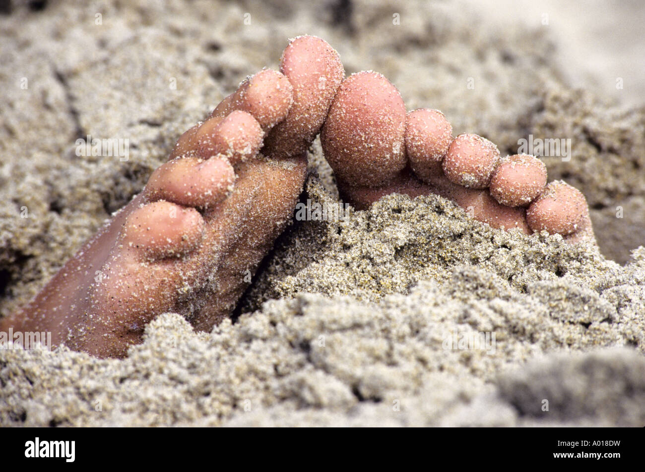 Ten Toes High Resolution Stock Photography and Images - Alamy
