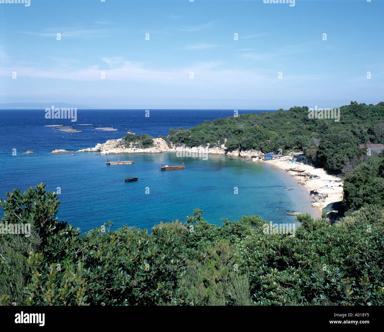 Meeresbucht bei Olimbiada, Chalkidike, Griechenland Stock Photo - Alamy