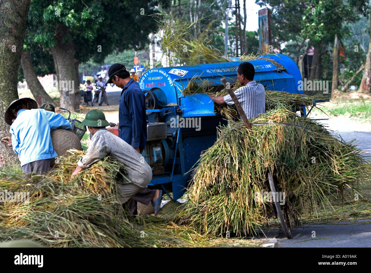 Rice threshing machine hi-res stock photography and images - Alamy