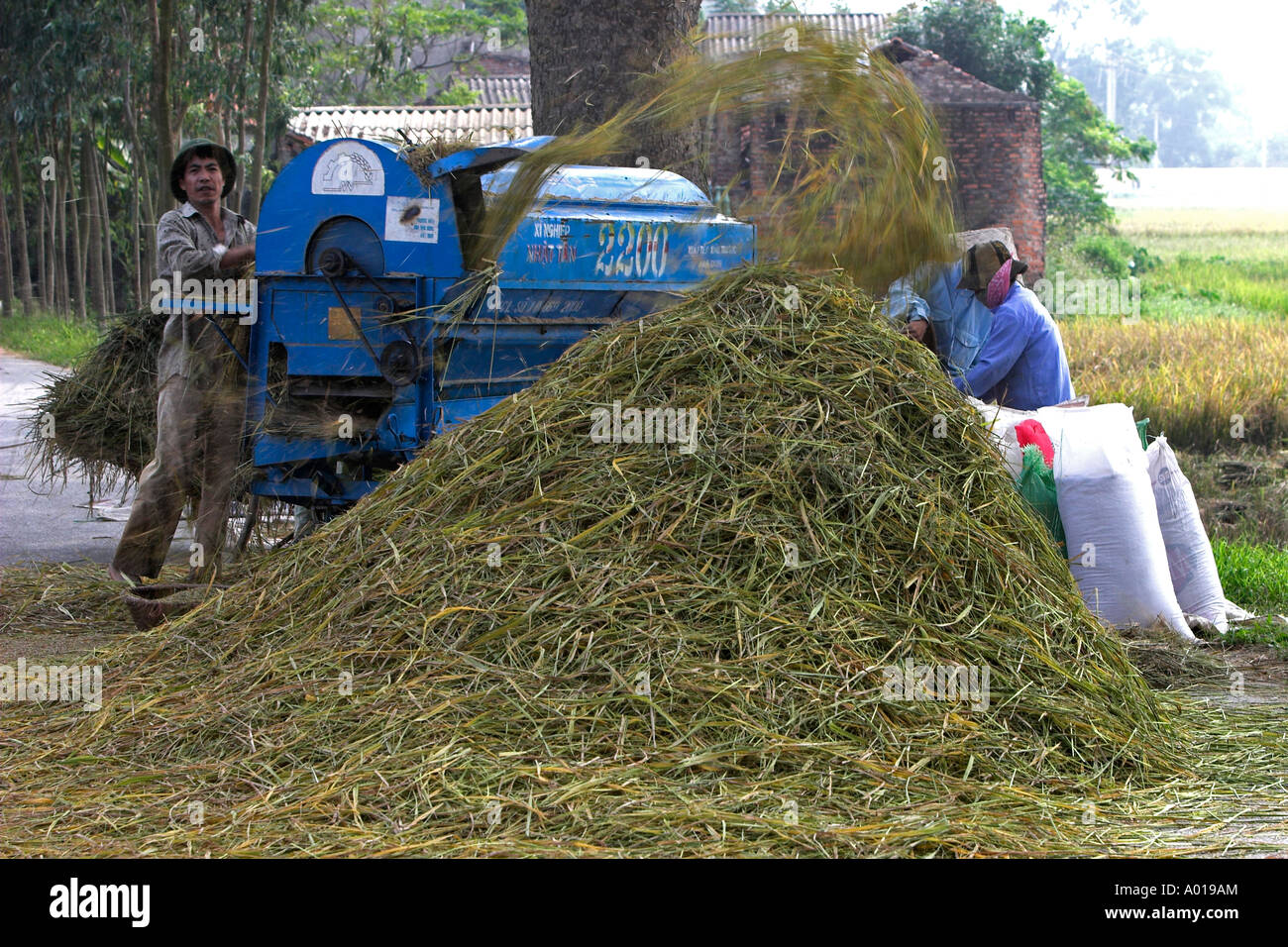 Rice Thresher Design