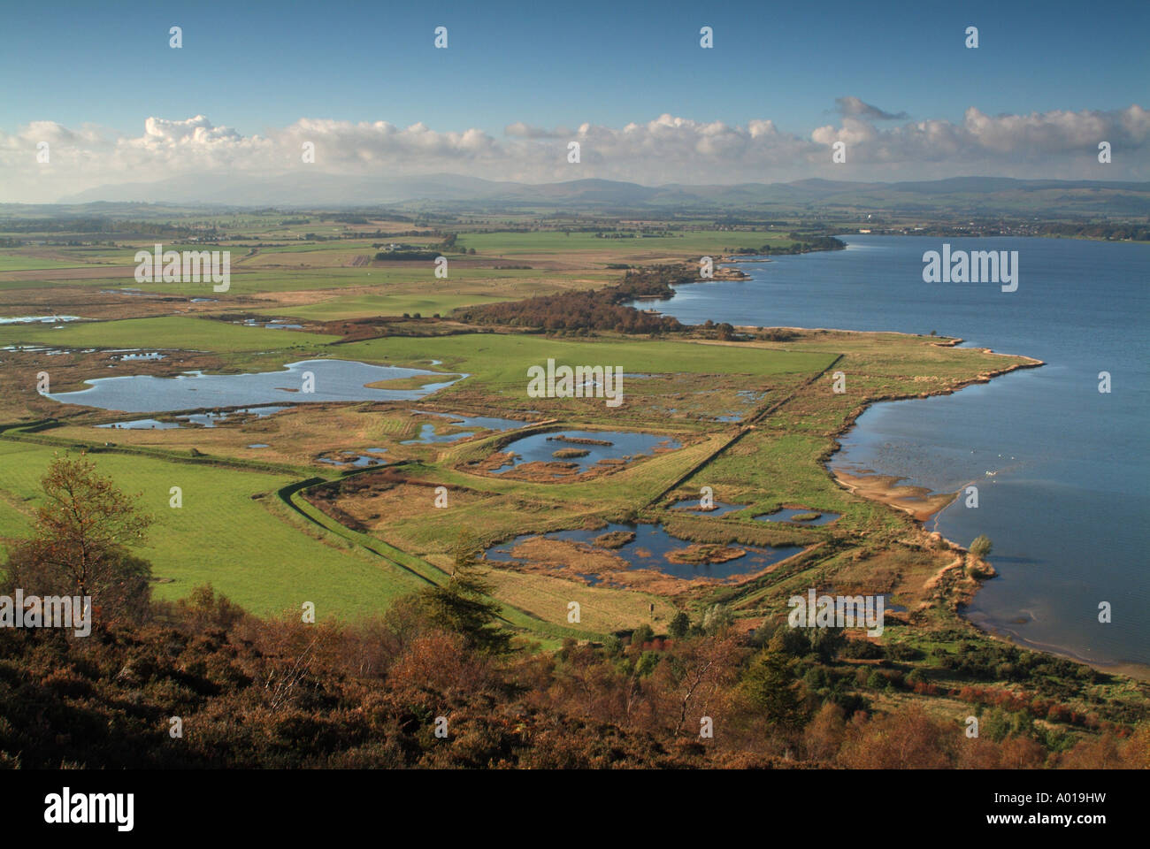 Rspb Vane Farm Nature Reserve High Resolution Stock Photography and ...