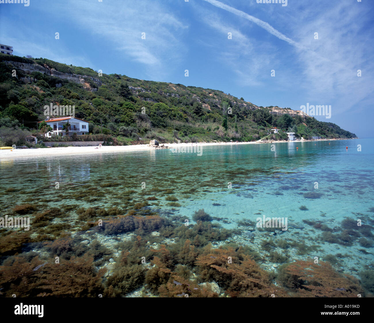 Meeresbucht bei Afytos, Chalkidike, Griechenland Stock Photo - Alamy