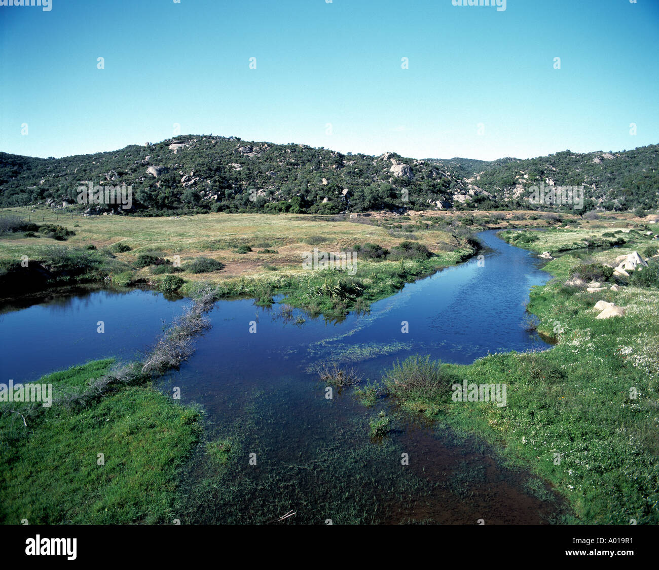 Maeander, Flusslandschaft bei Toroni, Chalkidike, Griechenland Stock ...