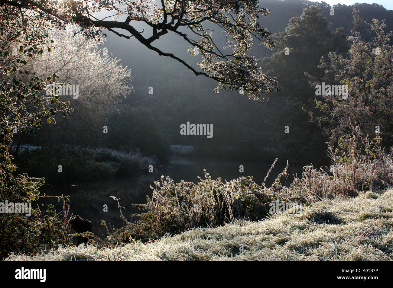 Devon field banks hi-res stock photography and images - Alamy