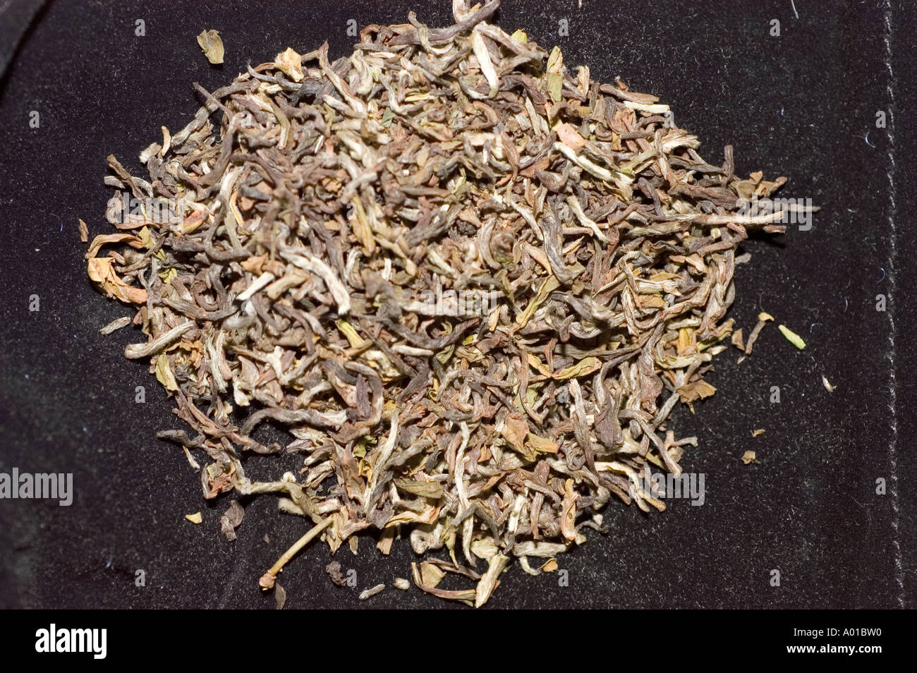 Unfermented tea hi-res stock photography and images - Alamy