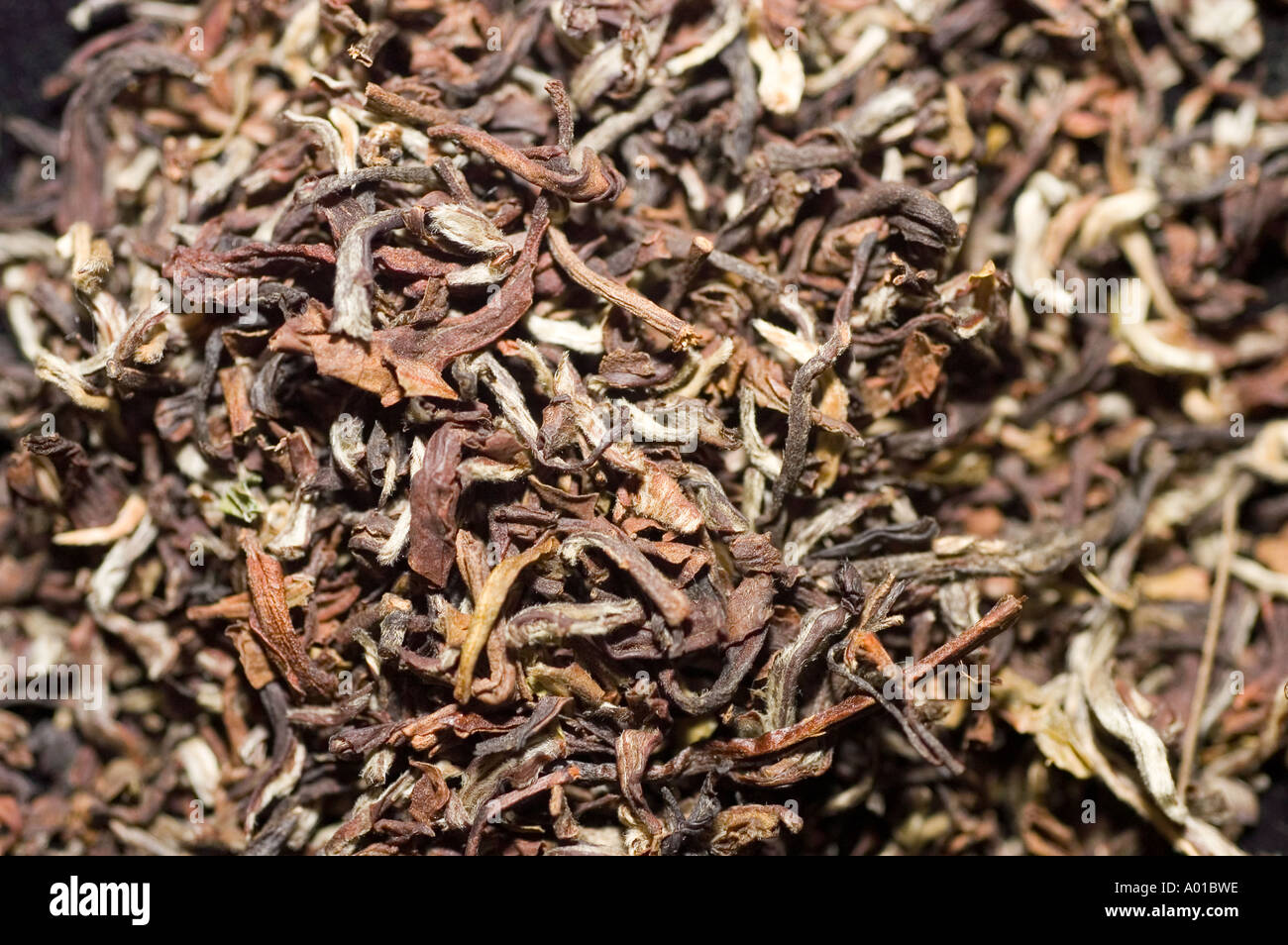 Dried Darjeeling tea Stock Photo - Alamy