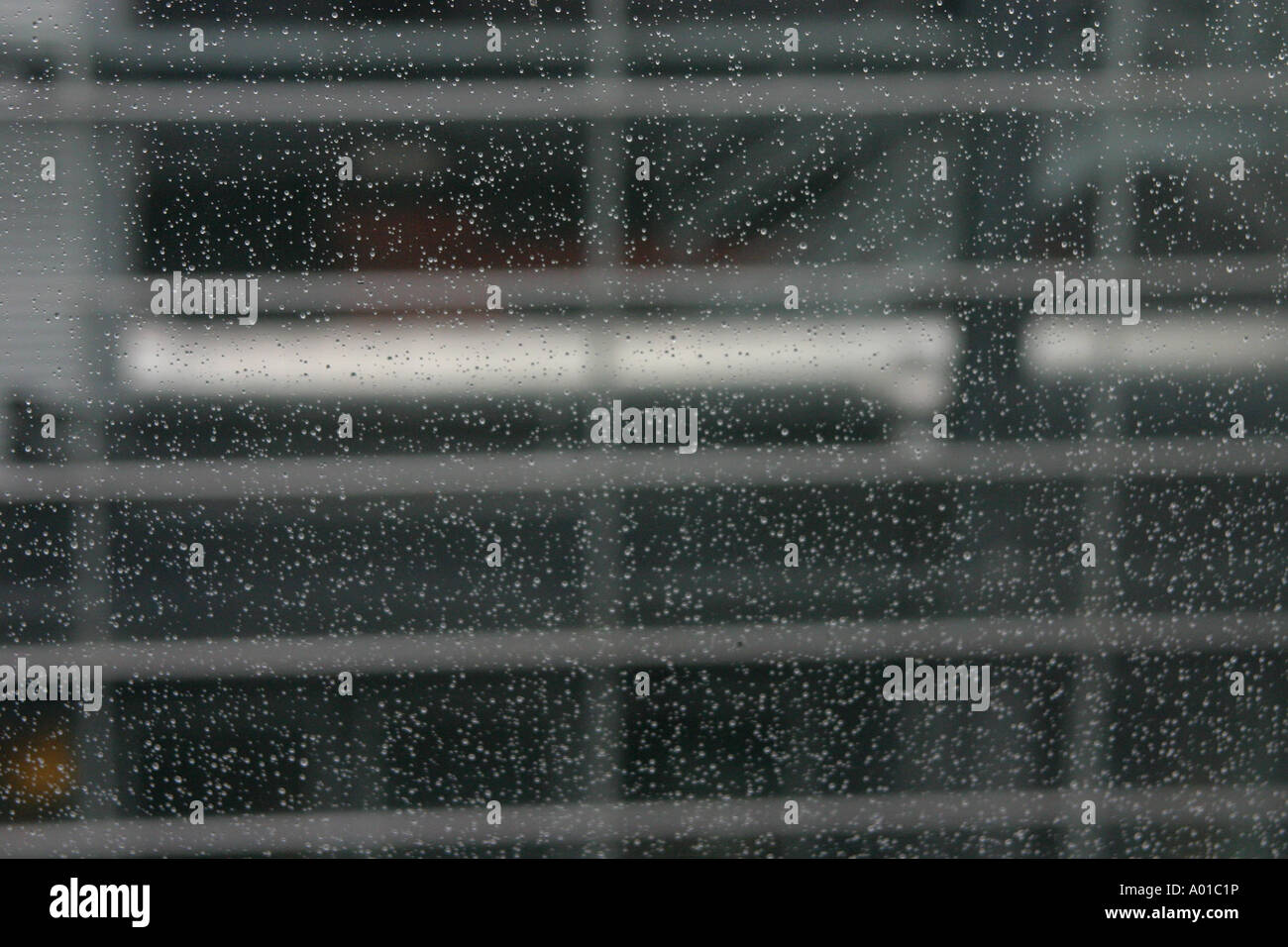 Library window rain hi-res stock photography and images - Alamy