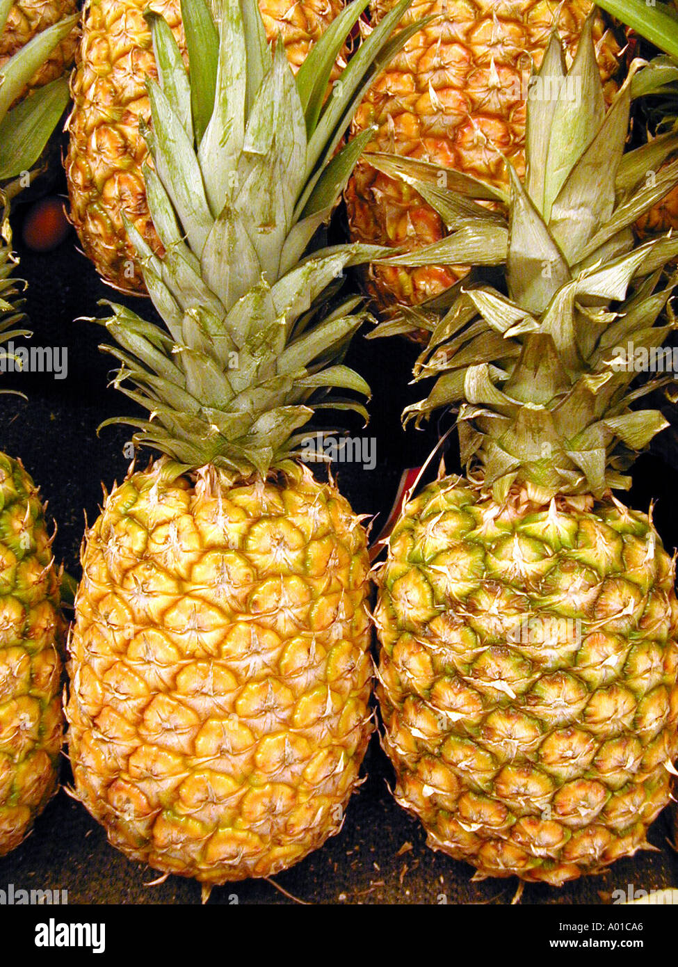 Pineapples in a produce display at a market Stock Photo - Alamy