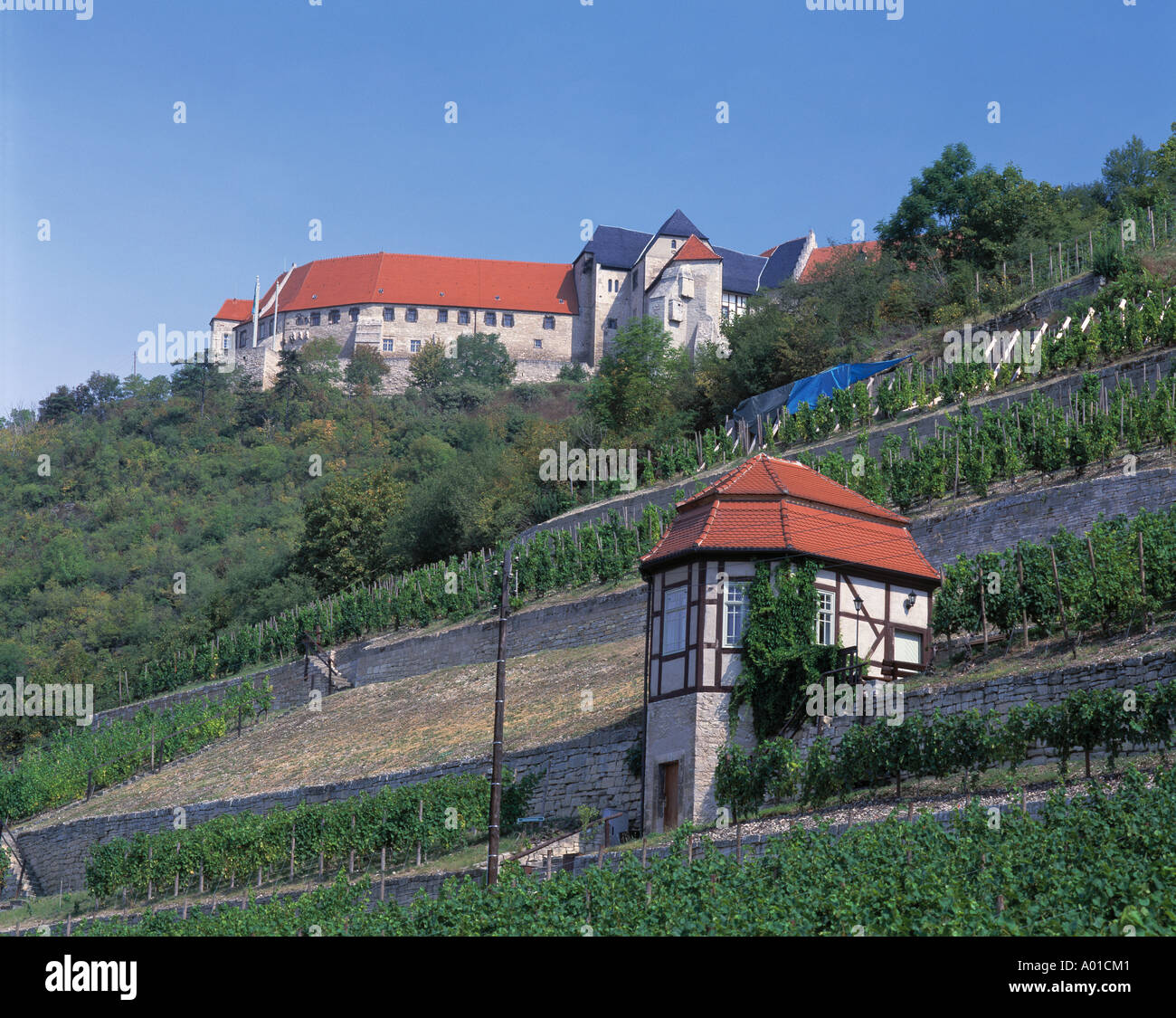 Neuenburg castle with vineyard hi-res stock photography and images - Alamy