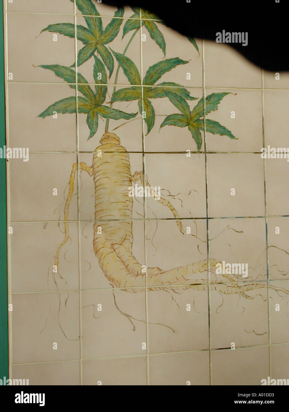 Pharmacy chinatown hi-res stock photography and images - Alamy