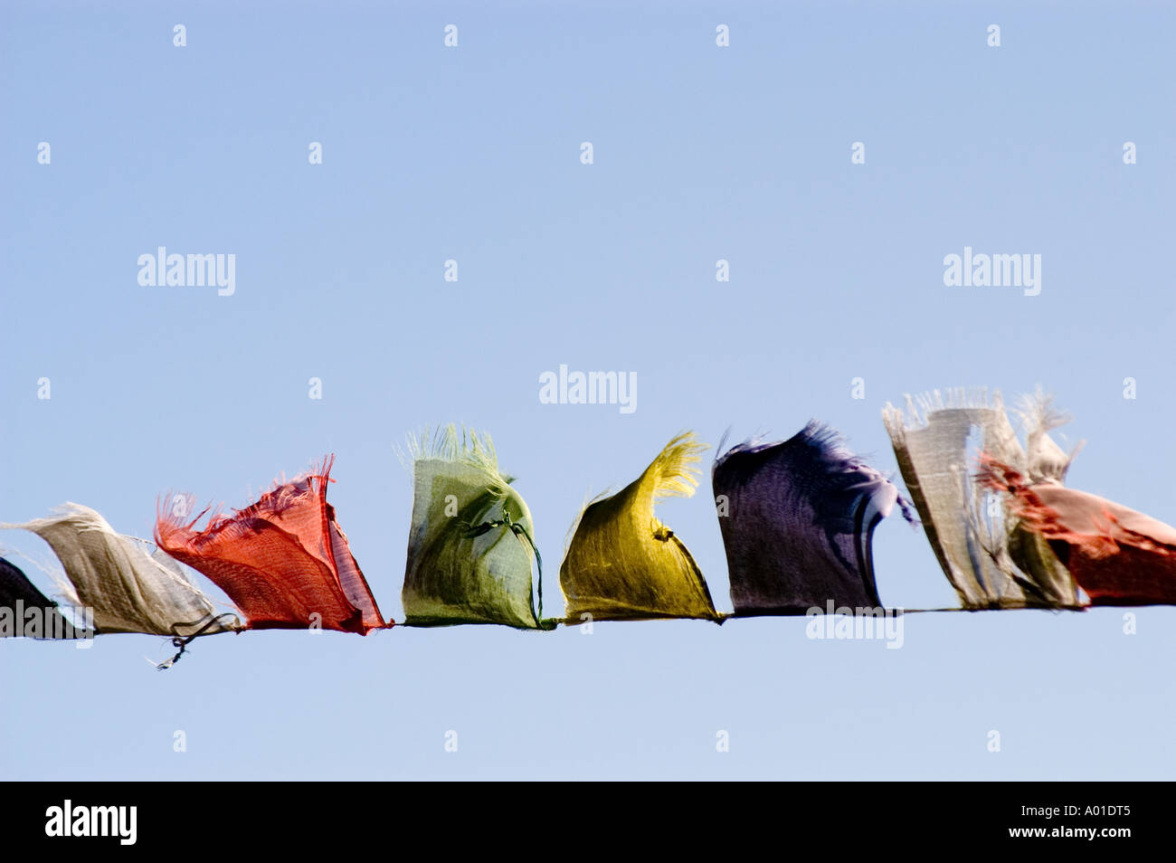 Row of buddhist prayer flags and blue sky in Samten Choling Buddhist ...