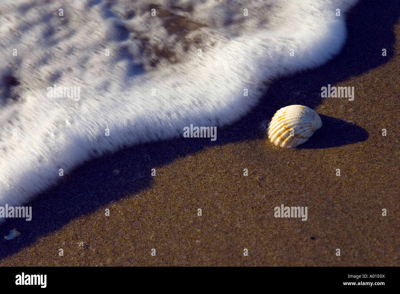 Moving sea sand hi-res stock photography and images - Alamy