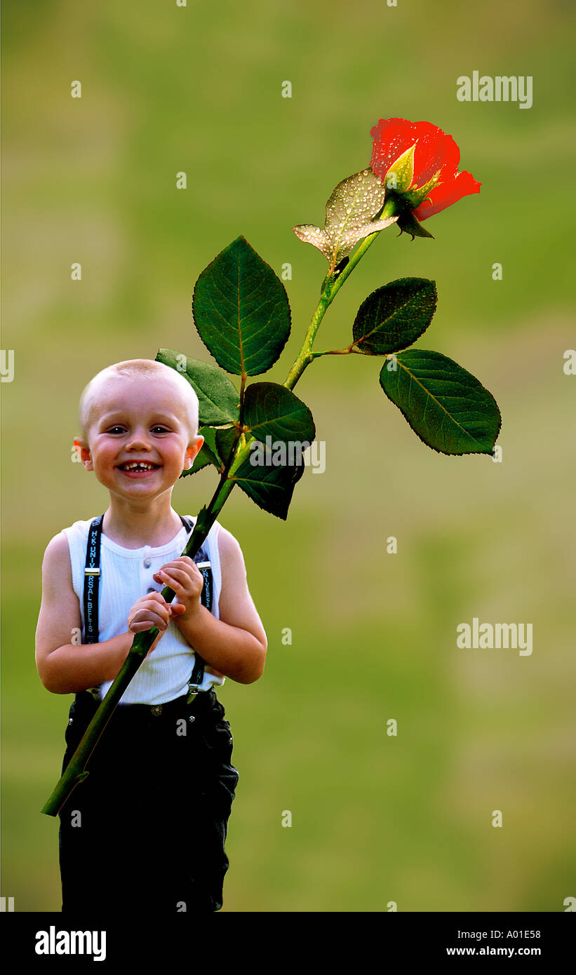 Birthday boy rose hi-res stock photography and images - Alamy