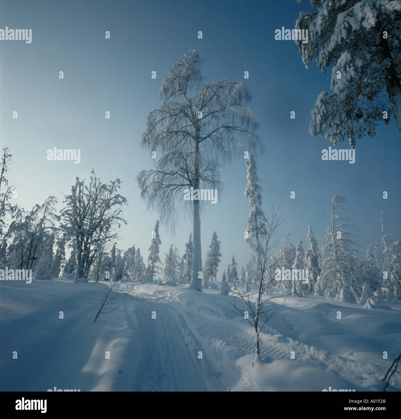 Finland snow scene Stock Photo - Alamy
