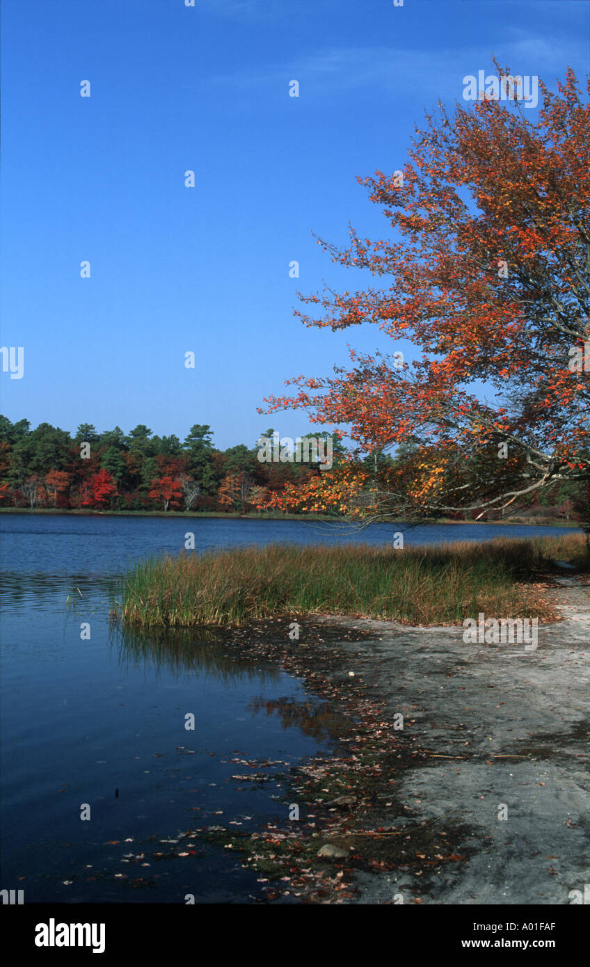 Bellows Pond in Sears-Bellows County Park, Long Island New York State ...