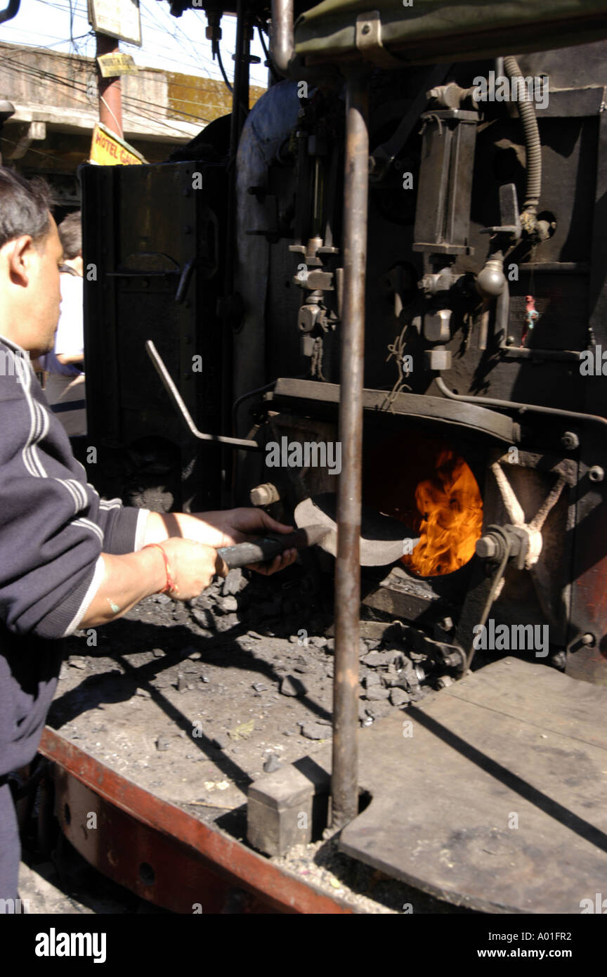 Fireman shoveling coal into the furnace of the famous Darjeeling Toy ...