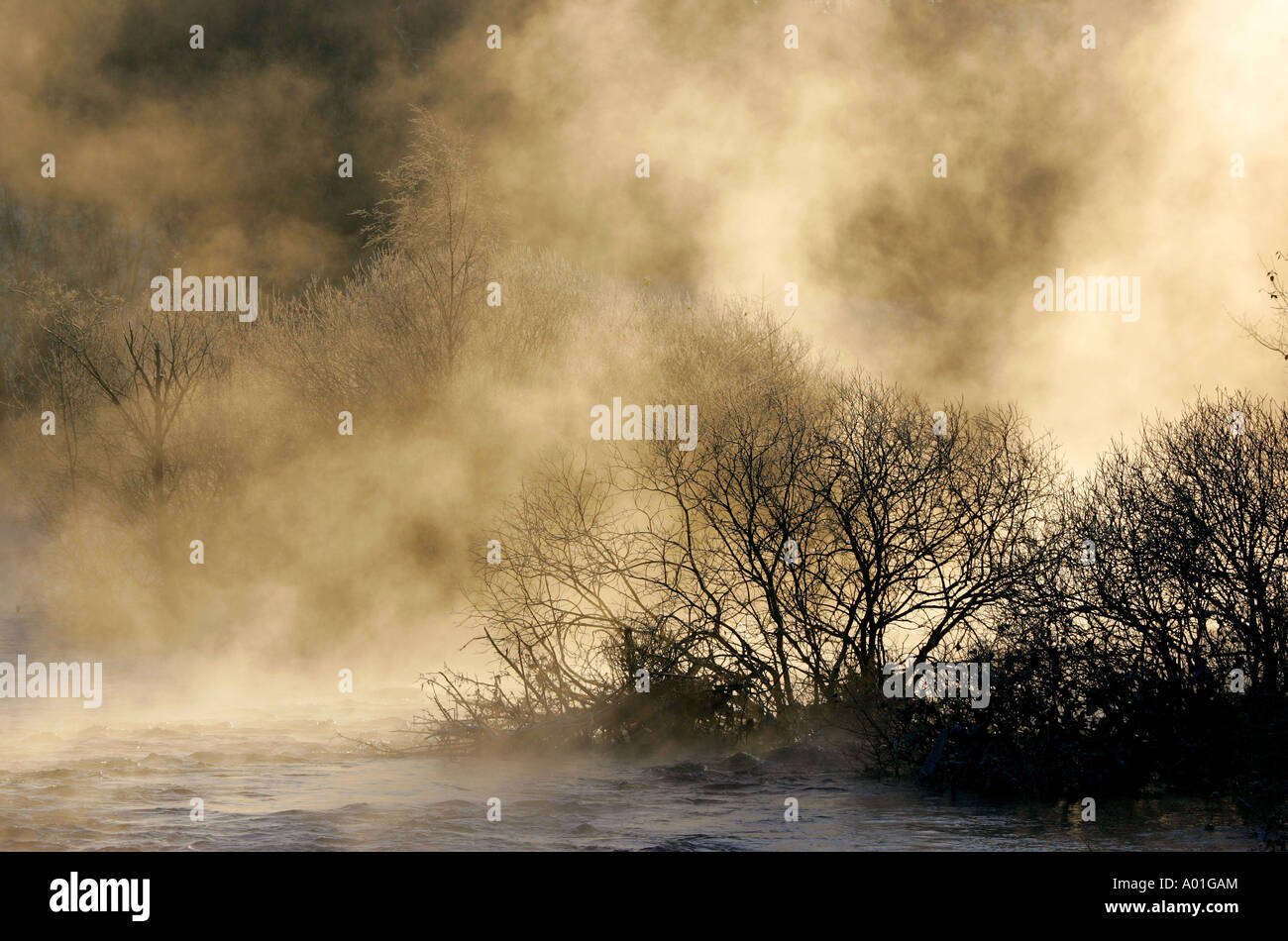 Sea smoke hi-res stock photography and images - Alamy