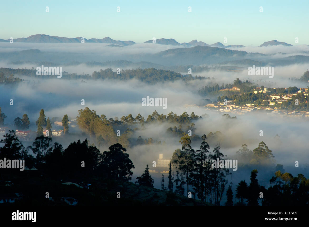 Sunrise at Ooty mountain station valley in Southern India Stock Photo ...