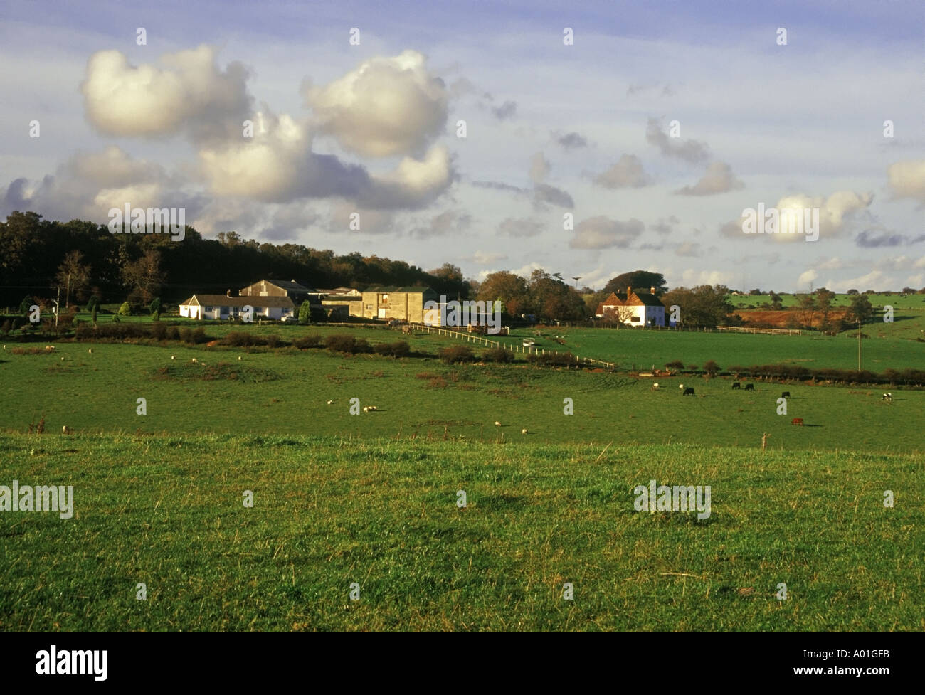 England kent folkestone downs hi-res stock photography and images - Alamy