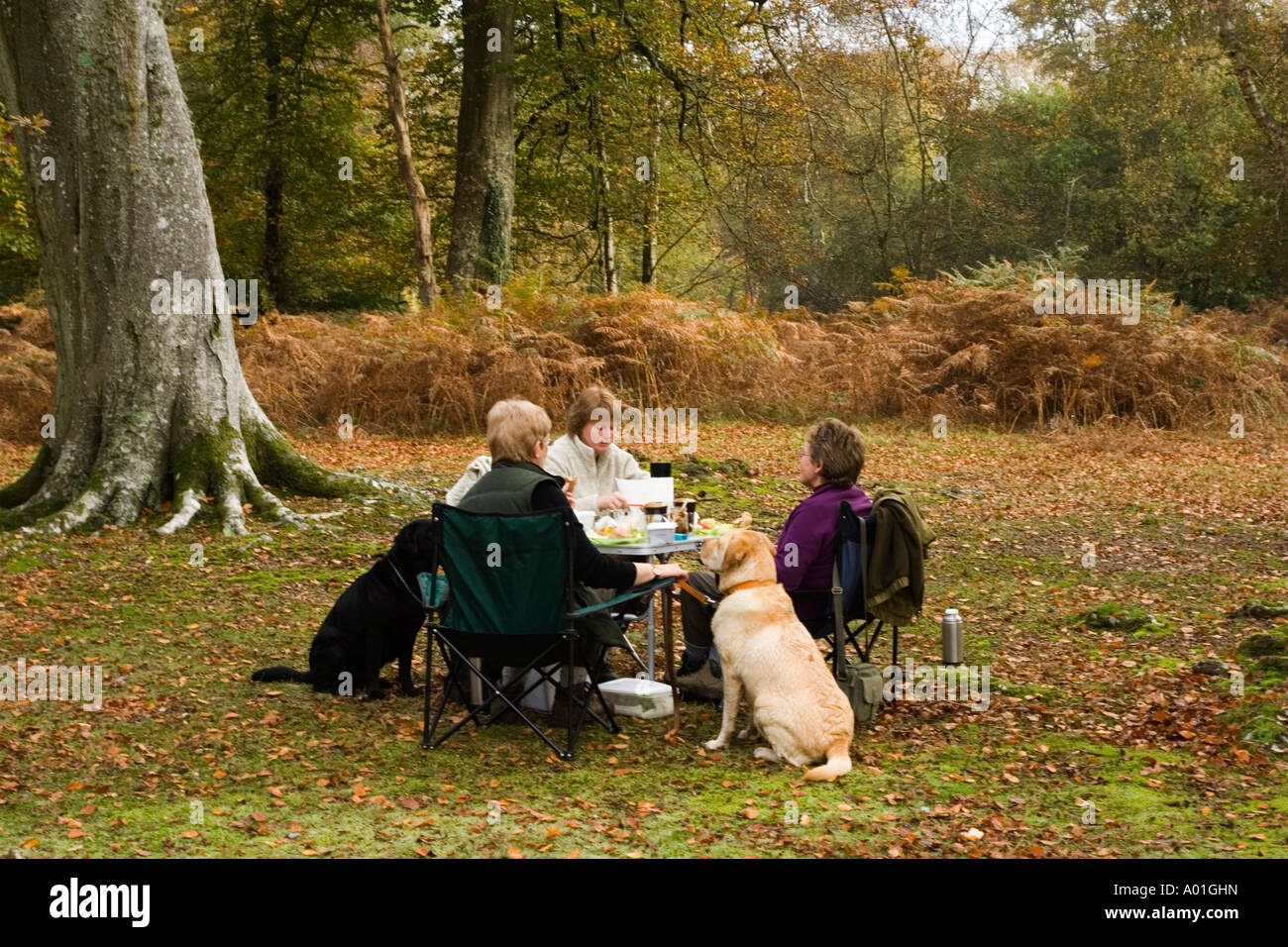 Three People With Dogs